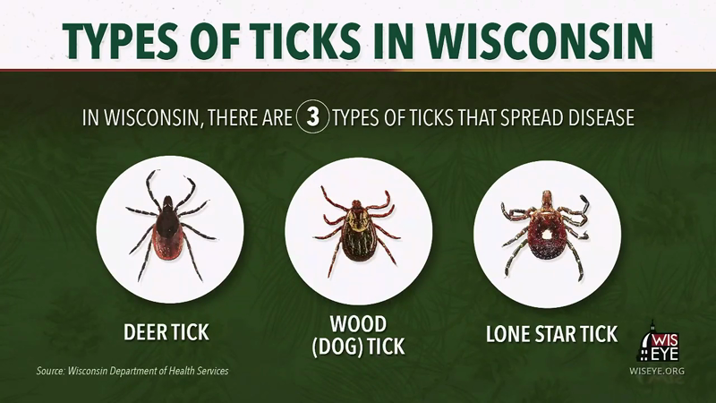 Newsmakers: Tick-Borne Illness Center Readies for 2020 Tick Season ...