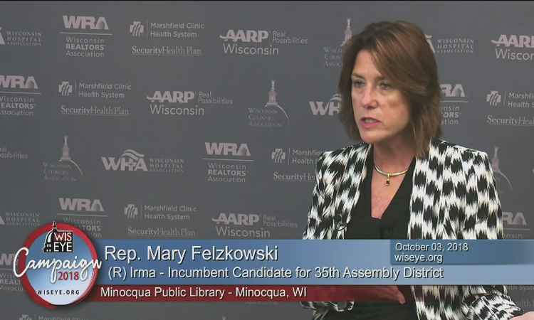 Campaign 2018: Rep. Mary Felzkowski (R) Incumbent Candidate for 35th ...
