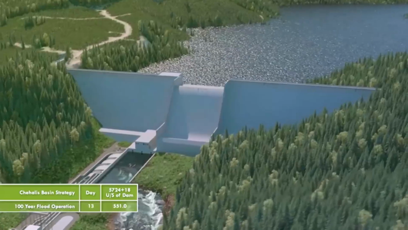 The Impact - Different Approaches to the Chehalis River Flood Problem - TVW