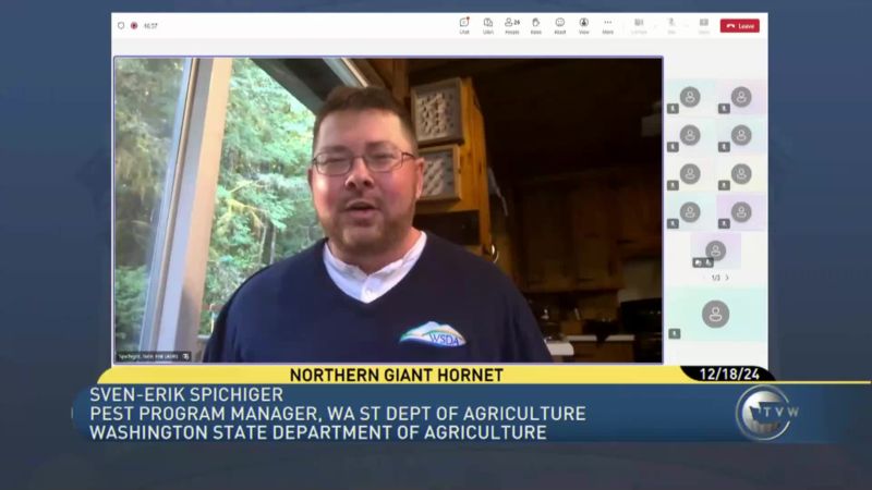 WA State Dept of Agriculture Northern Giant Hornet Update - TVW