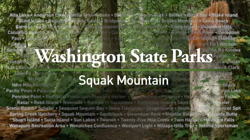 Squak Mountain State Park - TVW