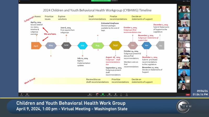 Children and Youth Behavioral Health Work Group - TVW