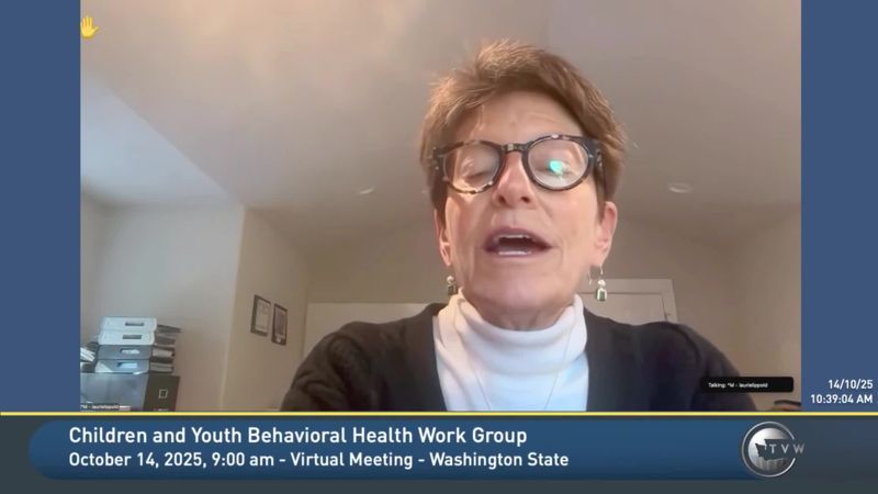 Children and Youth Behavioral Health Work Group - TVW