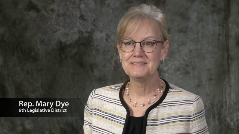 Legislator Profile: Representative Mary Dye - TVW