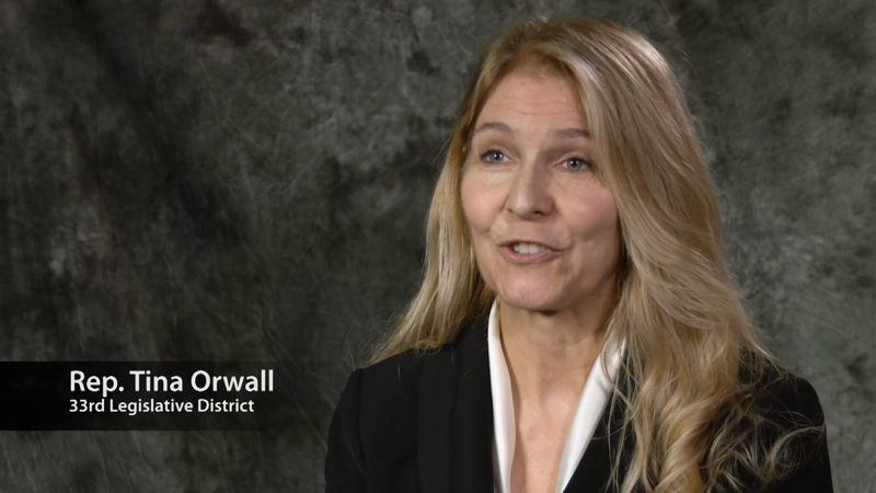 Legislator Profile: Representative Tina Orwall - TVW