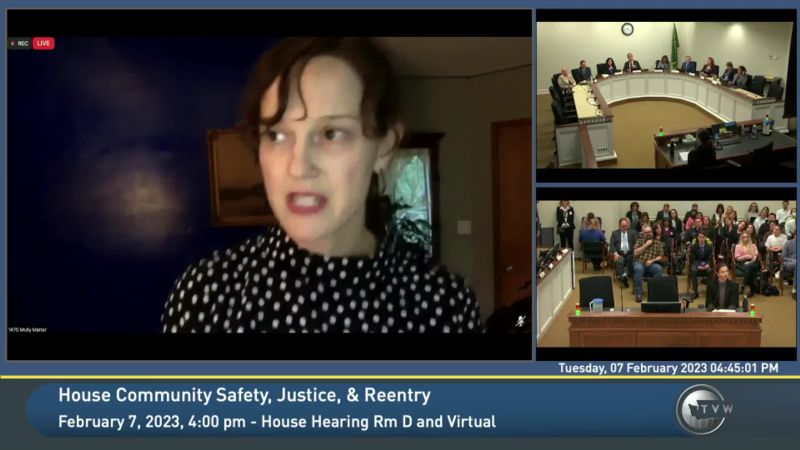 House Community Safety, Justice, & Reentry - TVW