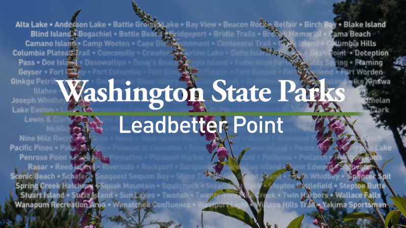 Leadbetter Point State Park - TVW