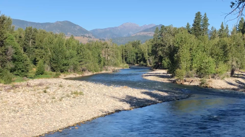 The Impact Riparian Buffer Zone Dilemma And Grant Program Proposals Tvw