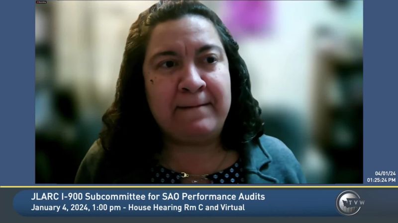 JLARC I-900 Subcommittee for SAO Performance Audits - TVW