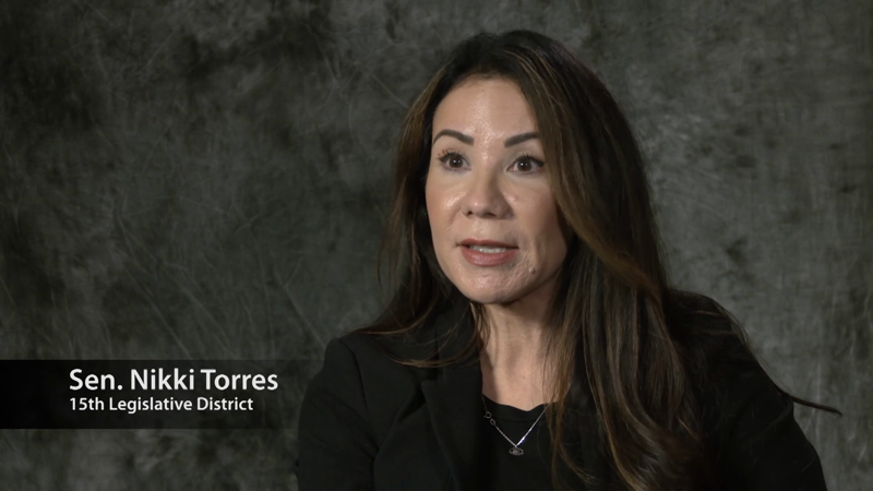 Legislator Profile: Senator Nikki Torres - TVW