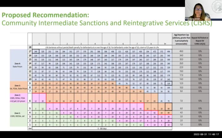 Washington State Criminal Sentencing Task Force - TVW