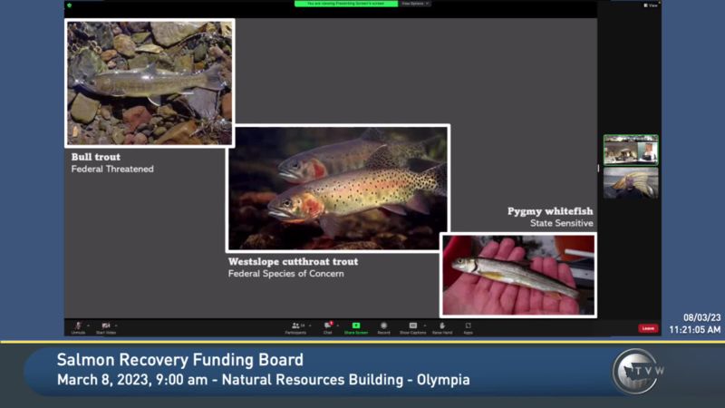 Salmon Recovery Funding Board - TVW