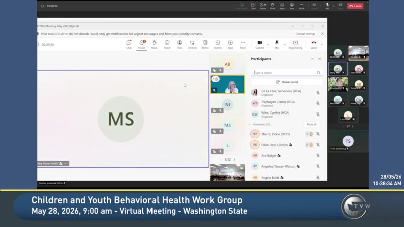 Children and Youth Behavioral Health Work Group - TVW