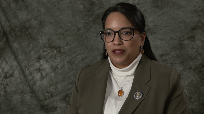 Legislator Profile: Representative Kristine Reeves - TVW