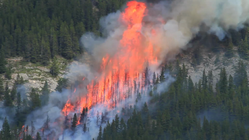 Field Report: Washington's Wildfire Divide - TVW